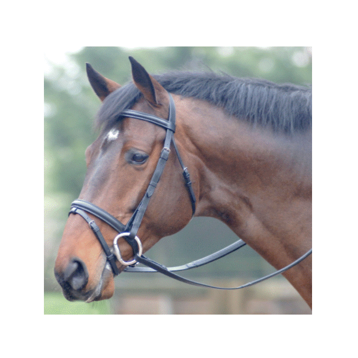Cottage Craft Oxford Bridle – Connemara Country